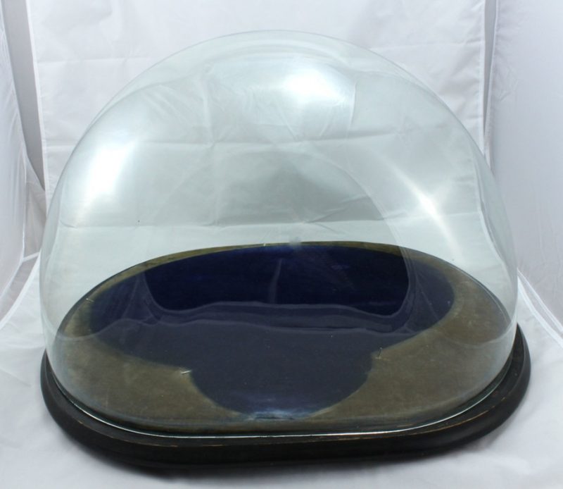 Large glass dome with base – Hahnemann House Trust